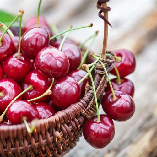 AdobeStock_85992811-rond-pomme-cerise-web - Into the Spoon